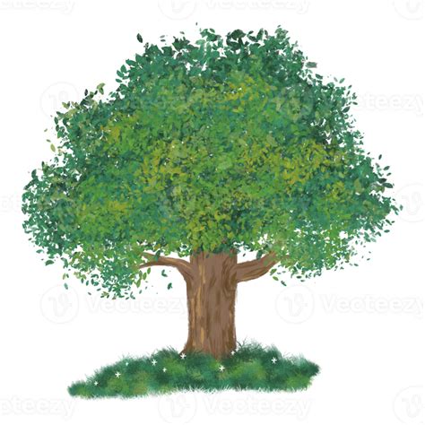 Nature Tree Landscape PNG