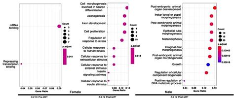 Figures And Data In Sex Specific Splicing Occurs Genome Wide During Early Drosophila