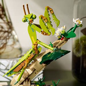 Lego Ideas The Insect Collection Fun T For Nature