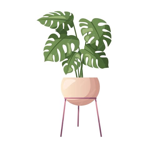 Premium Vector Decorative Houseplant In Pot Indoor Potted House