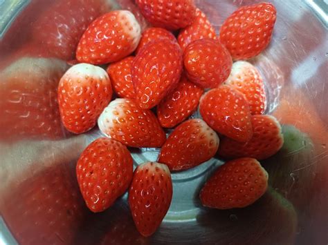 찹쌀떡으로 과일모찌 만들기