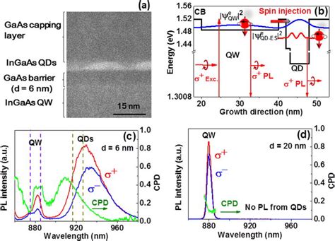 Ultrafast Spin Tunneling And Injection In Coupled Nanostructures Of Ingaas Quantum Dots And