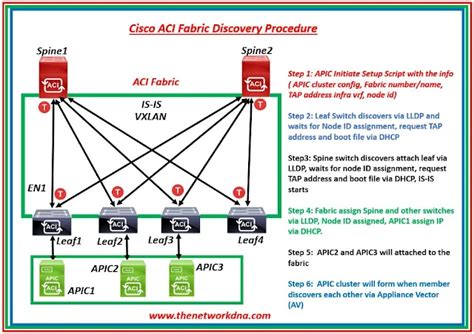 Cisco Aci Fabric Apic Discovery The Network Dna