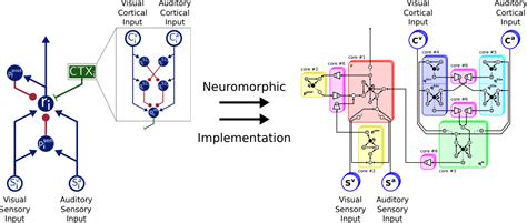 Brain Inspired Visual Auditory Integration Yielding Near Optimal