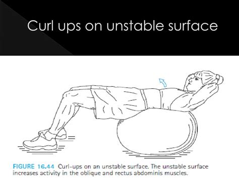 PPT CORE STABILITY EXERCISES PowerPoint Presentation Free Download ID 2121443