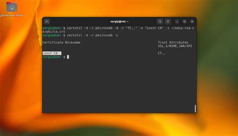 Установка сертификатов в Ubuntu Losst