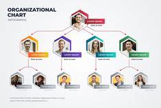Organizational Chart Design Ideas
