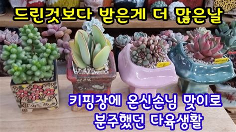 분주했지만 반갑고 행복한 하루 였어요🤗 감사와 정으로 맺는 다육생활🌺 다육이가 있어서 가능한 일이죠 ~감사합니다 👌 Youtube