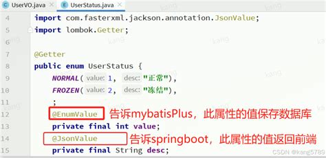 Java实体类中的字典及json字段与mysql数据转换java数据字典转换 Csdn博客