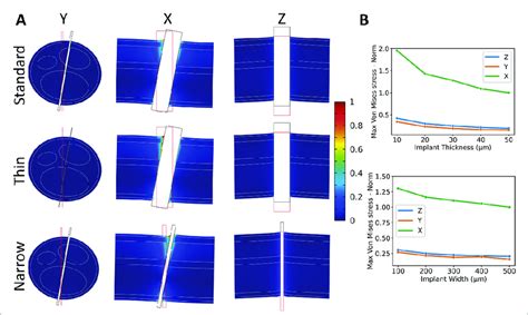 A Distribution Of The Normalized Von Mises Stress In The Deformed