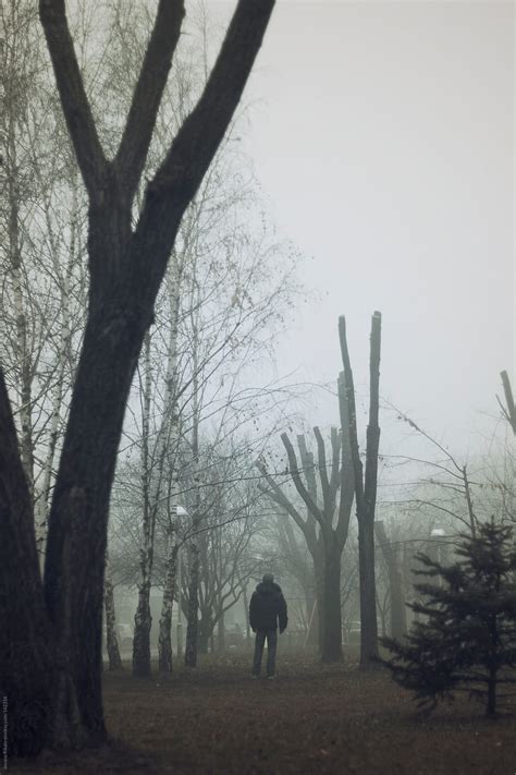 A Babe Man Walking In A Field With Fog De Stocksy Colaborador Jovana Rikalo Stocksy