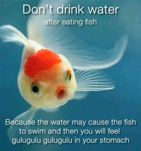 Don T Drink Water Fish Had Sex In It Drink Rum Meme By Drakxa Memedroid