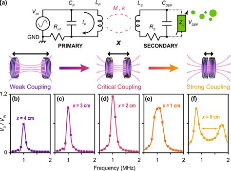 Circuit Architecture And Optimal Coupling Regime A A Circuit Diagram Download Scientific