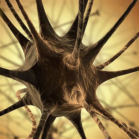 뉴런 3d 모델 39 3ds Blend Fbx Obj Free3d