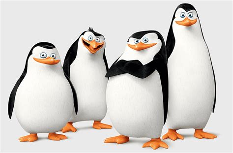 Kowalski And Skipper Penguins Madagascar Movie Characters Flightless