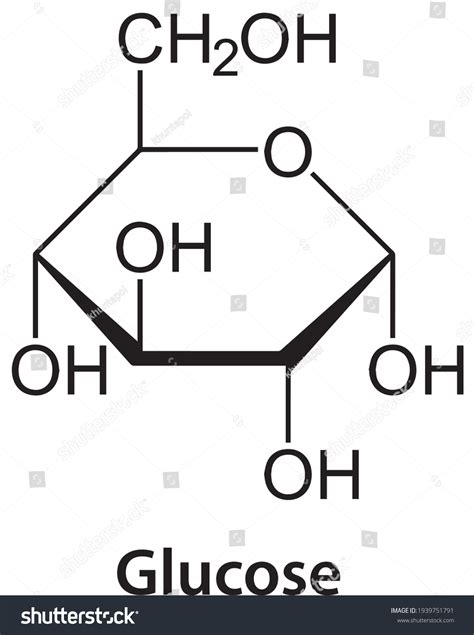 Chemical Structure Glucose Atom Stock Vector Royalty Free 1939751791 Shutterstock