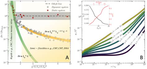 Diffusivity Of Nanofibers A Normalized Rotational Diffusivity Of Download Scientific Diagram