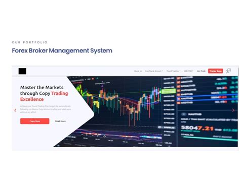 A Web Application Built Using Aspnetmeanmern Stack Upwork