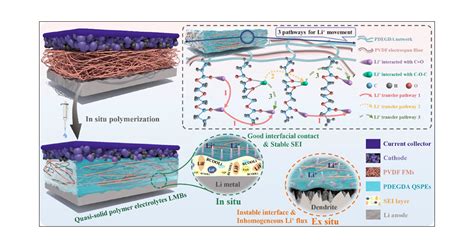 Quasi Solid Polymer Electrolyte With Multiple Lithium Ion Transport