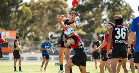 I Think Ive Got What It Takes Mcentee Loving First Afl Pre Season