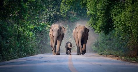 Shiv Iyer On Linkedin Step By Step Guide To Migrating From Postgresql