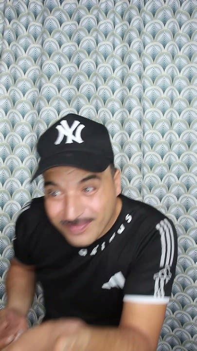 سنجاب ياكل فستق سنجاب كيوت حديقة الحيوانات Squirrtw سنجاب ياكل