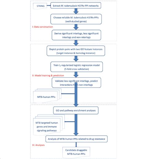Overview Flowchart Of The Proposed Framework Download Scientific Diagram