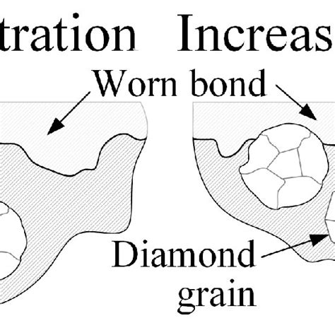 Schematic For Variations In Grain Concentration Download Scientific Diagram