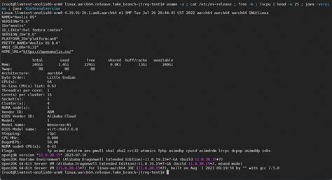自研 Comalibabaquickstarttestexecstartupprobejava在aarch64平台使用 Xx