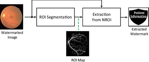 Block Diagram Of The Extraction Module Download Scientific Diagram
