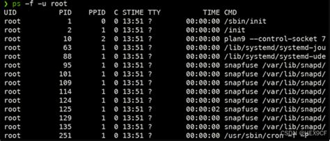 【linux】ps 命令详解及使用示例：查看当前运行进程状态ps命令详解 Csdn博客