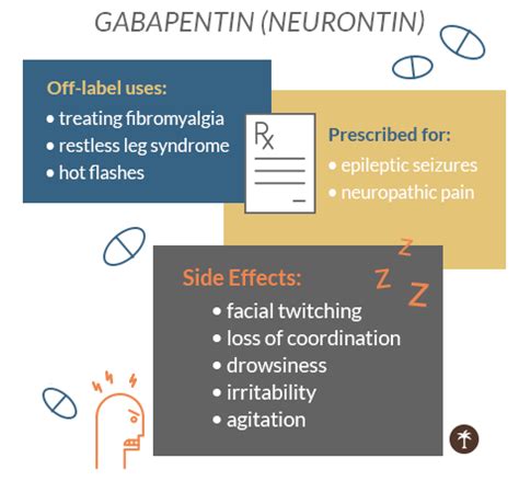 Gabapentin Drug Guide