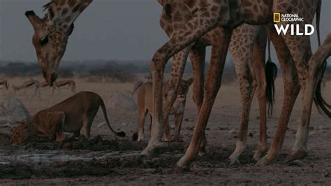 How To Fix This Too Filtering Issue On This Webpage Rublockorigin