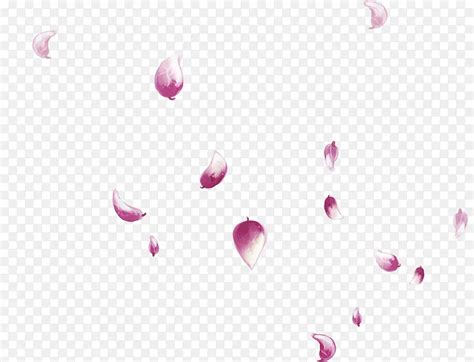 Png Png