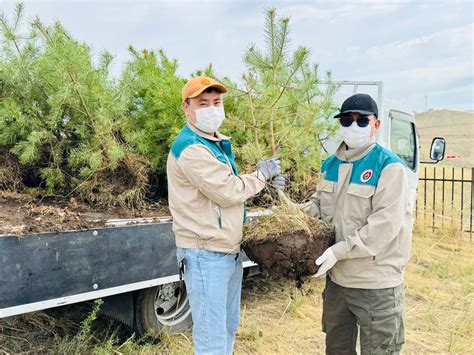 Дарханы Дулааны Сүлжээ ТӨХК Дарханы Дулааны Сүлжээ ТӨХК