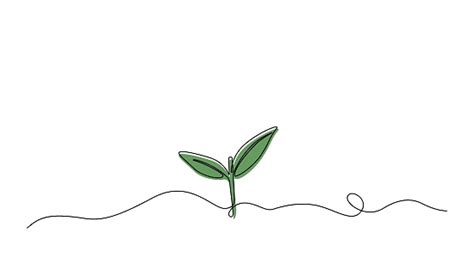 낙서 성장 새싹 식물 잎의 연속적인 단일 선 그리기 묘목 성장 라인 아트 스케치 추상 벡터 그림 라인아트에 대한 스톡 벡터 아트 및 기타 이미지 Istock