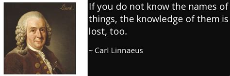 Carl Linnaeus And The Binomial Nomenclature
