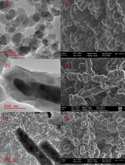 Tem Image Of A Cnps B Znozif 8 Nanorods And C Download Scientific Diagram