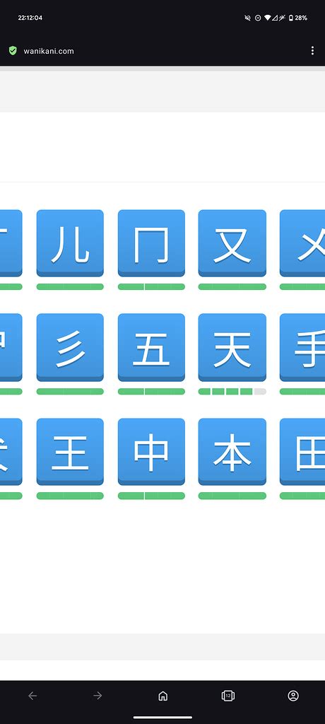 Progress Visual Bug Bugs And Errors Wanikani Community