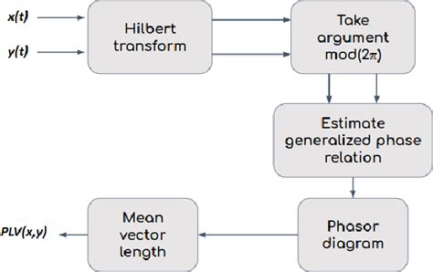 Figure 1 From Quantifying Synchronization In A Biologically Inspired Neural Network Semantic