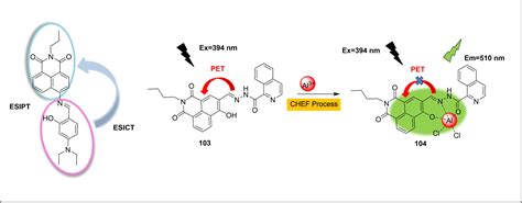 1 8‐naphthalimide‐based Chemosensors A Promising Strategy For Detection Of Metal Ions In