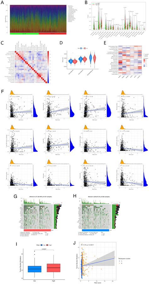 Evaluation Of TMB CSC Score And Checkpoints Between The Two Groups Download Scientific