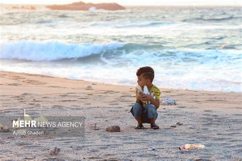 گشت و گذار در جزایر ایرانی ابوموسی، تنب بزرگ و تنب کوچک عکس