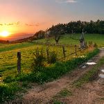 数据库随机数函数random mysql random CSDN博客