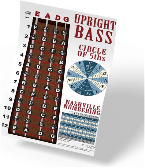 A New Song Music Upright Bass Fingerboard Bahrain Ubuy