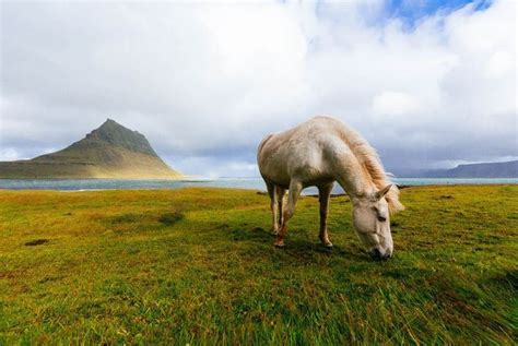 Lunapic Free Online Photo Editor Doctored Photo Analysis