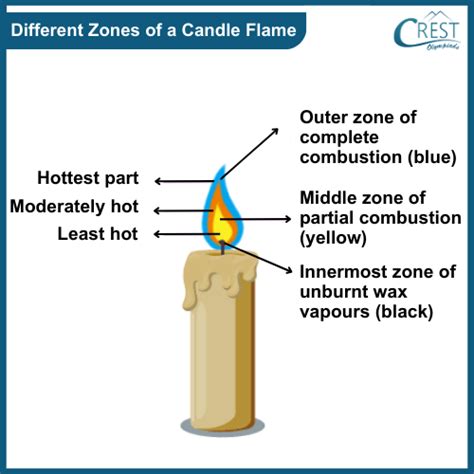 Draw A Diagram Showing The Different Zones Of Candle Flame At Jessica Challis Blog
