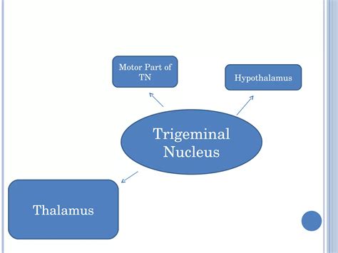 Trigeminal Neuralgia Ppt