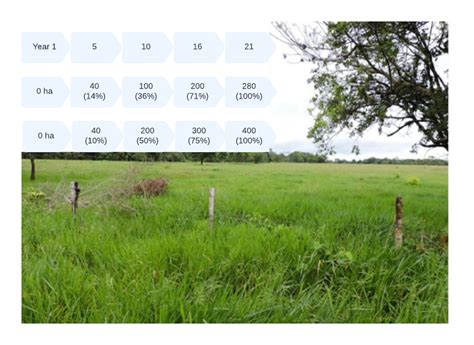 A Dynamic Simulation Model Of Pasture Intensification Effects On Beef Herd Outputs And Carbon