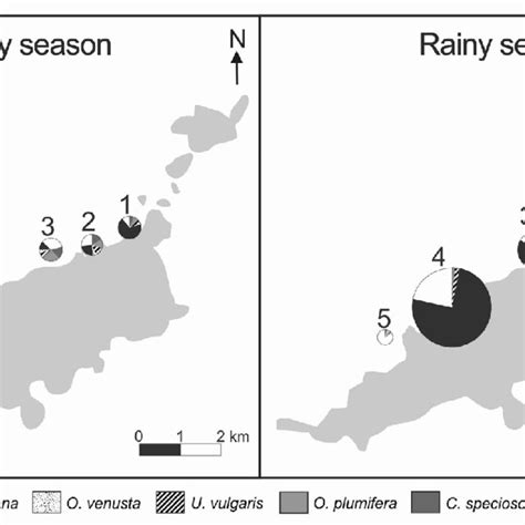 Box Plot Mean And Standard Deviation Representing The Spatial